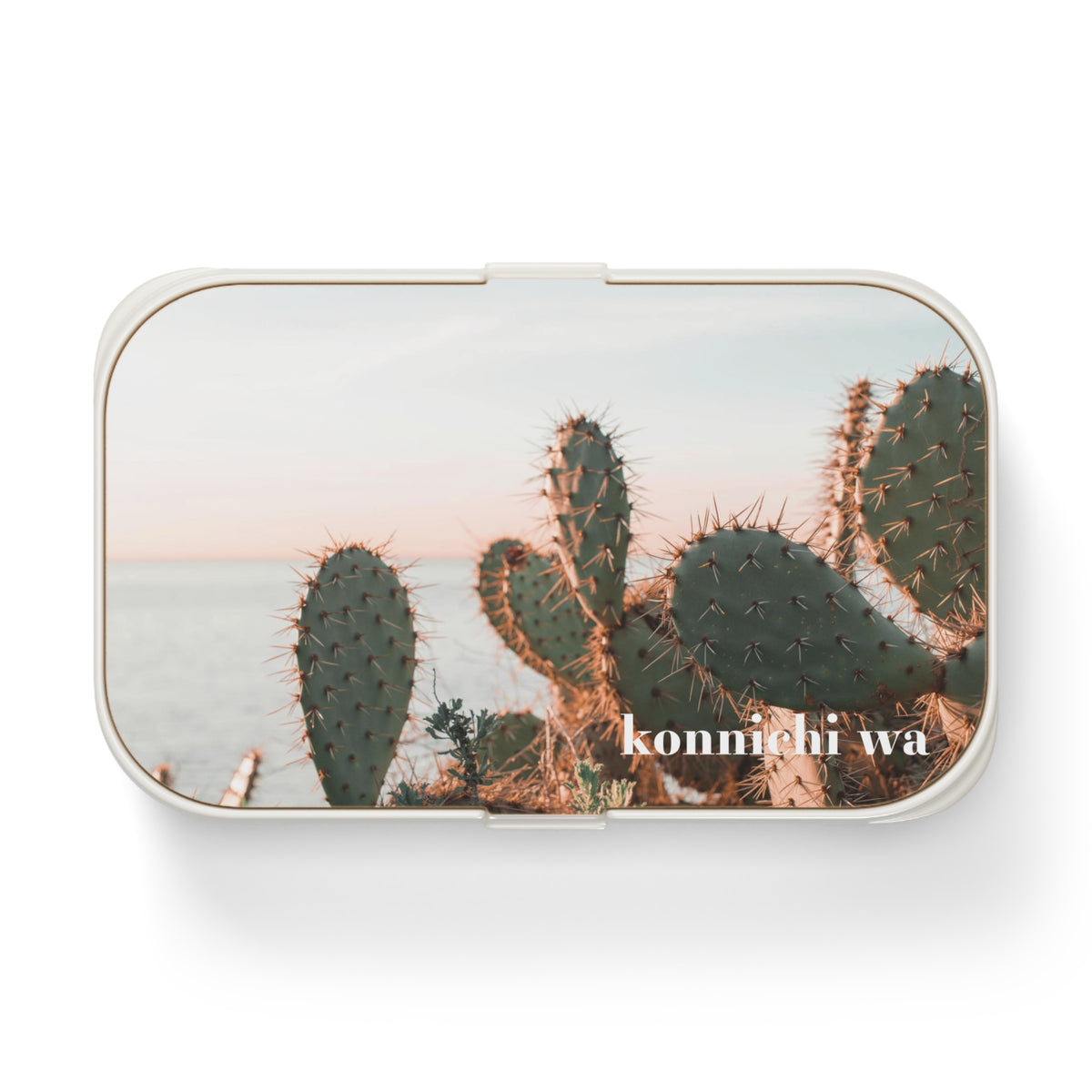 Cactus Bento Lunch Box – KONNICHI WA
